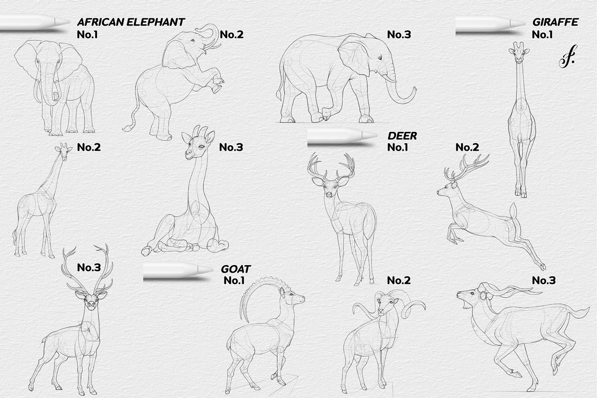 Procreate Animal Stamps | 95 Procreate Animal Brushes by FreyaArtProcreate