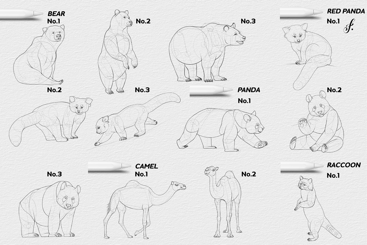 Procreate Animal Stamps | 95 Procreate Animal Brushes, Add-ons ...