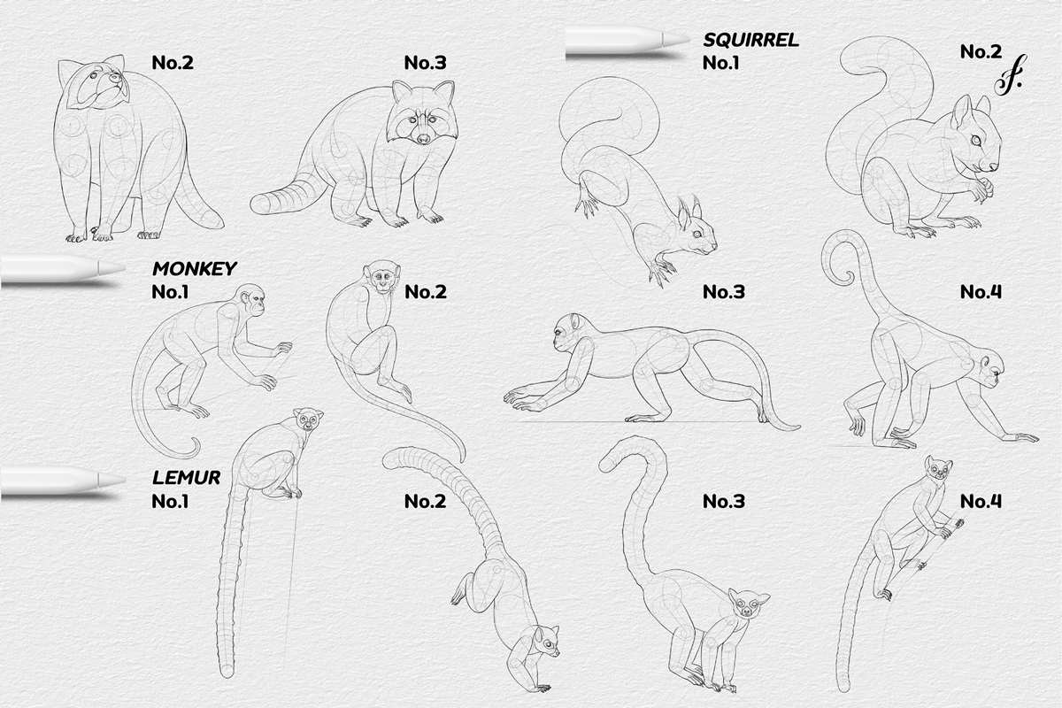 Procreate Animal Stamps | 95 Procreate Animal Brushes by FreyaArtProcreate