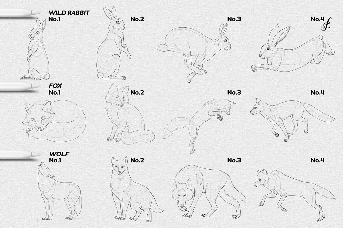 Procreate Animal Stamps | 95 Procreate Animal Brushes by FreyaArtProcreate