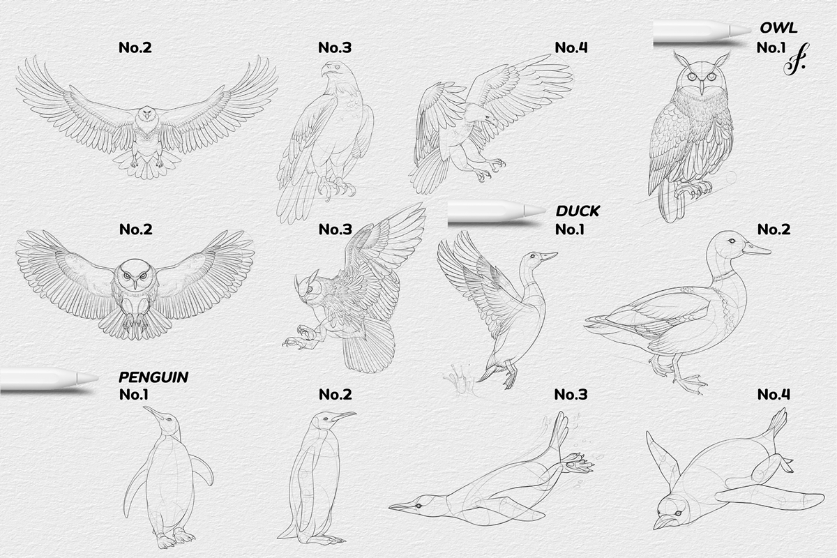 Procreate Animal Stamps | 95 Procreate Animal Brushes by FreyaArtProcreate