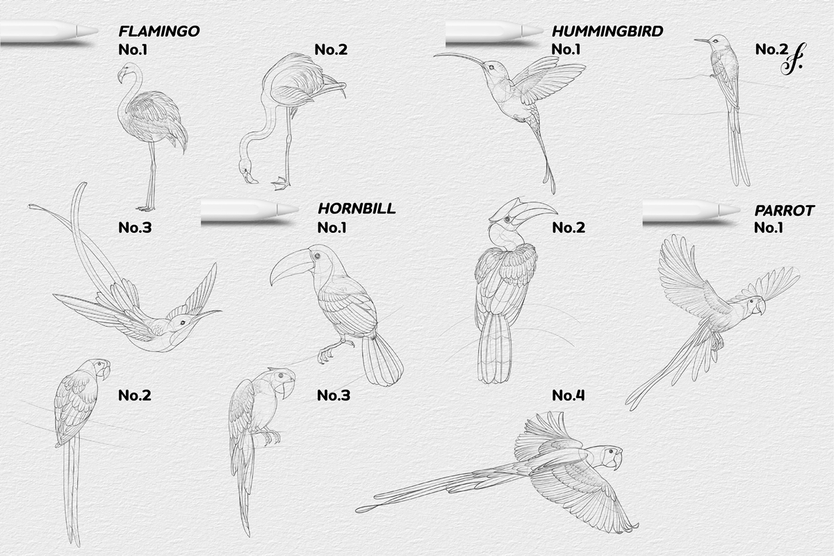 Procreate Animal Stamps | 95 Procreate Animal Brushes by FreyaArtProcreate