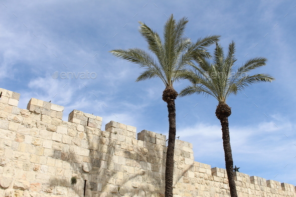 Aged building wall and palm trees in Jerusalem, Israel Stock Photo by ...