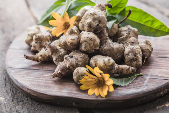 Jerusalem artichoke tubers. Freshly harvested roots of Helianthus ...