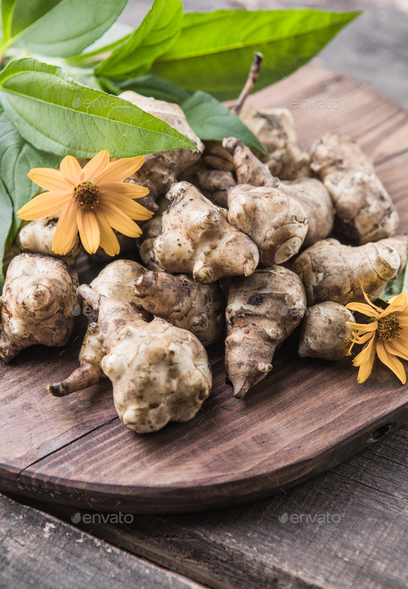 Jerusalem artichoke tubers. Freshly harvested roots of Helianthus ...