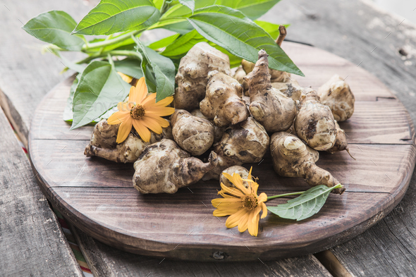 Jerusalem artichoke tubers. Freshly harvested roots of Helianthus ...