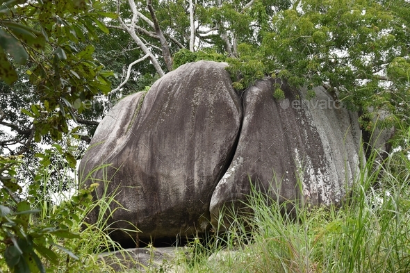 big boulder with crack in the middle in a tropical landscape Stock ...