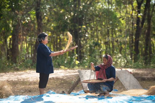 Rural life of Thai farmers More than 70% have to live on farming. Stock ...