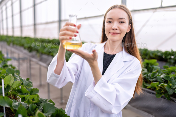 Fruit researcher in greenhouse hydroponic farming test natural liquid ...