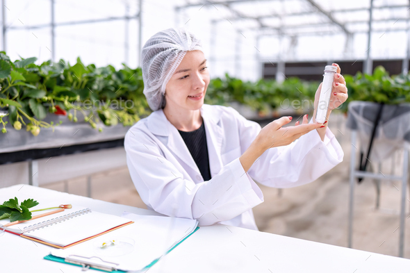 Fruit researcher in greenhouse hydroponic farming test natural ...