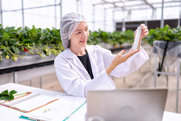 Fruit researcher in greenhouse hydroponic farming test natural ...