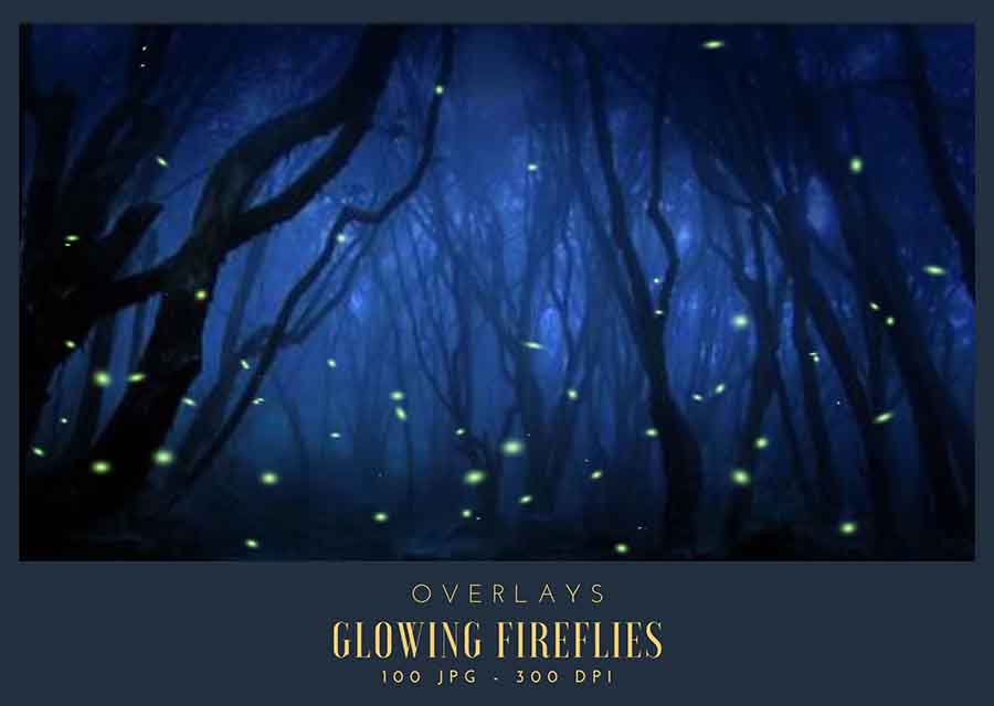 Fireflies - Glowing Particle Overlays, Add-ons | GraphicRiver