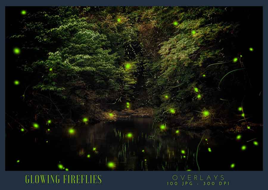 Fireflies - Glowing Particle Overlays, Add-ons | GraphicRiver