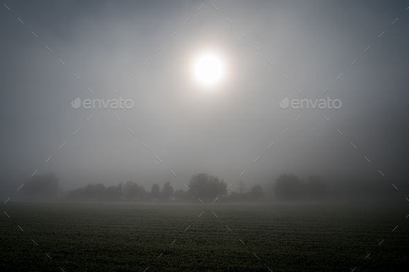 Sun shining in the deep fog covering the field Stock Photo by wirestock