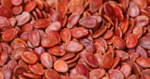 Red Watermelon Seed, Stock Footage | VideoHive