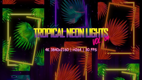 Tropical Neon Lights Vol. 04 4K VJ Loop, Motion Graphics | VideoHive