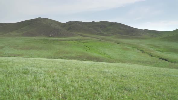 Stream Bed and Fresh Green Grass on a Treeless Hill, Stock Footage