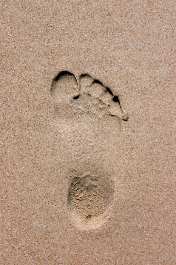 Single footprint on the beach sand Stock Photo by Cebas | PhotoDune