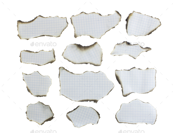 Collection of burnt papers. Burnt notebook sheet. Sheet in a cage ...