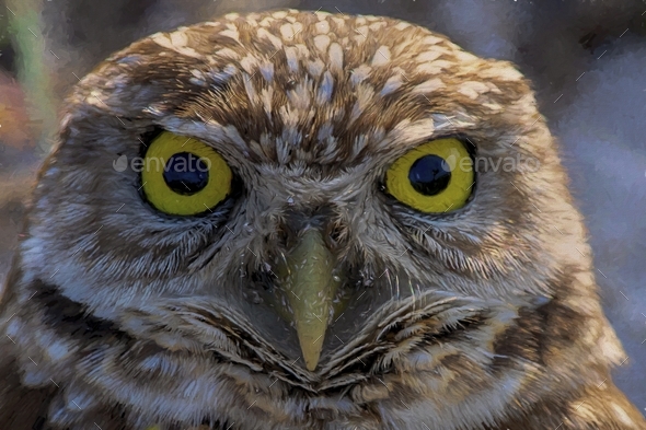 Closeup shot of an owl looking at the camera Stock Photo by wirestock