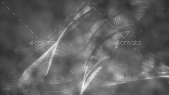 Grayscale texture of mottled and blurred light background Stock Photo ...