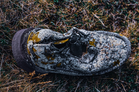 Old dirty boot covered with moss Stock Photo by wirestock | PhotoDune