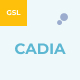 Cadia - Healthcare Presentation Google Slides, Presentation Templates