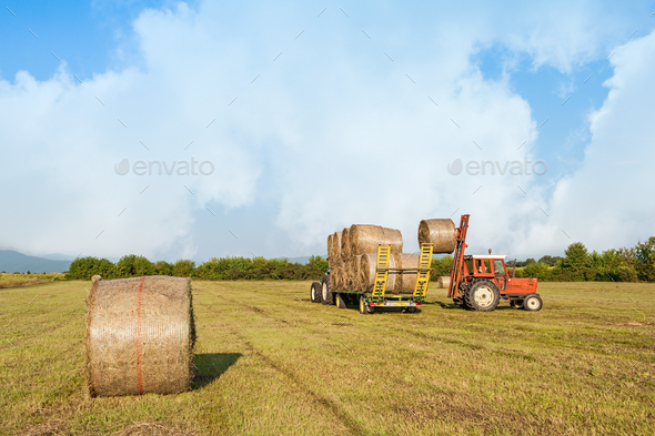 Agricultural scene. Tractor lifting hay bale on barrow. Stock Photo by ...