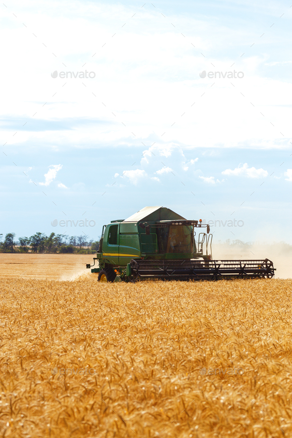 Time to harvest! Beautiful view of the work of the combine harvesting ...