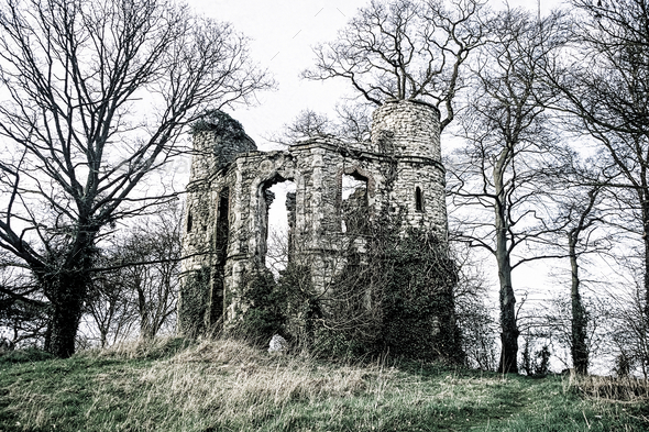 Old Castle Ruins in an English woodland Stock Photo by wirestock ...