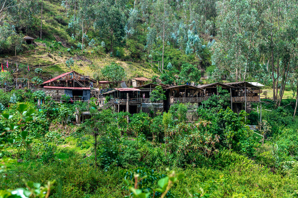 houses in trees, forest villages Stock Photo by Edovideo | PhotoDune