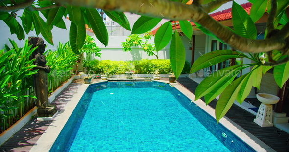 Peaceful zen background blue clear swimming pool with green garden ...