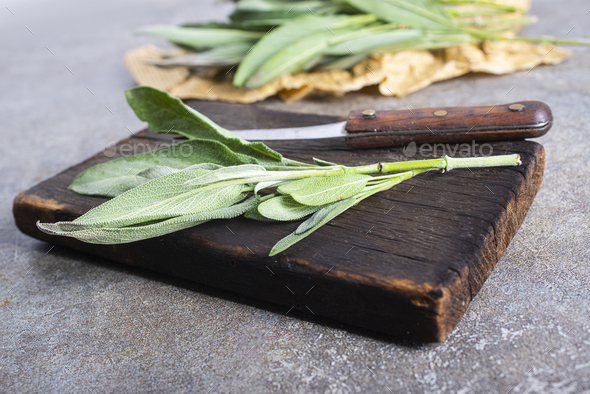 Salvia officinalis. Clary Sage natural green leaves macro background ...