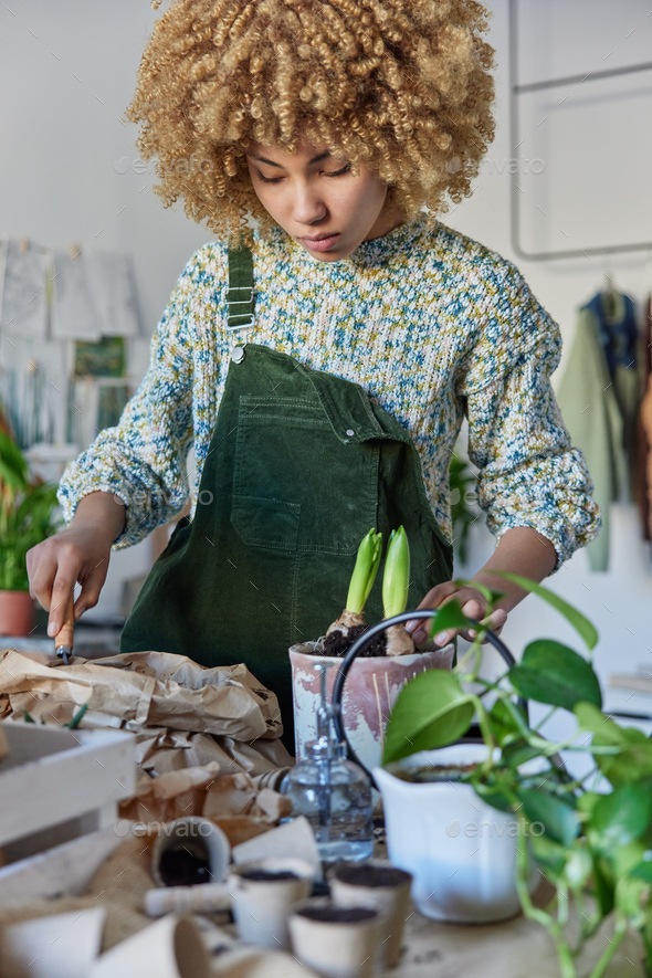 Vertical shot of curly haired female botanist replants potted flowers ...