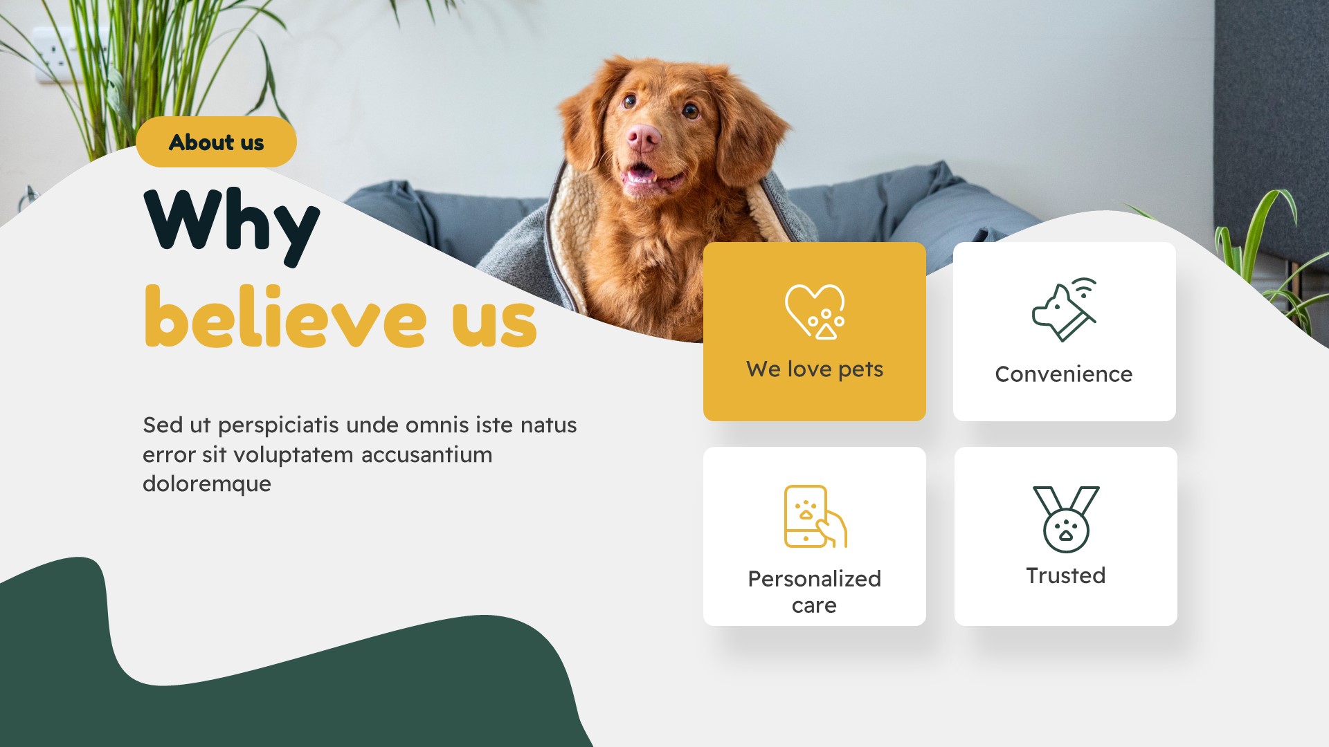 Petslon - Petcare & Pet Shop Powerpoint Template, Presentation Templates