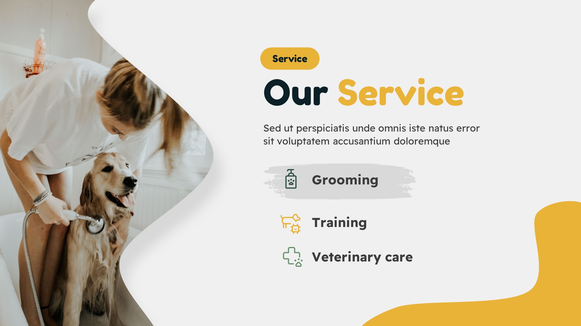 Petslon - Petcare & Pet Shop Powerpoint Template, Presentation Templates