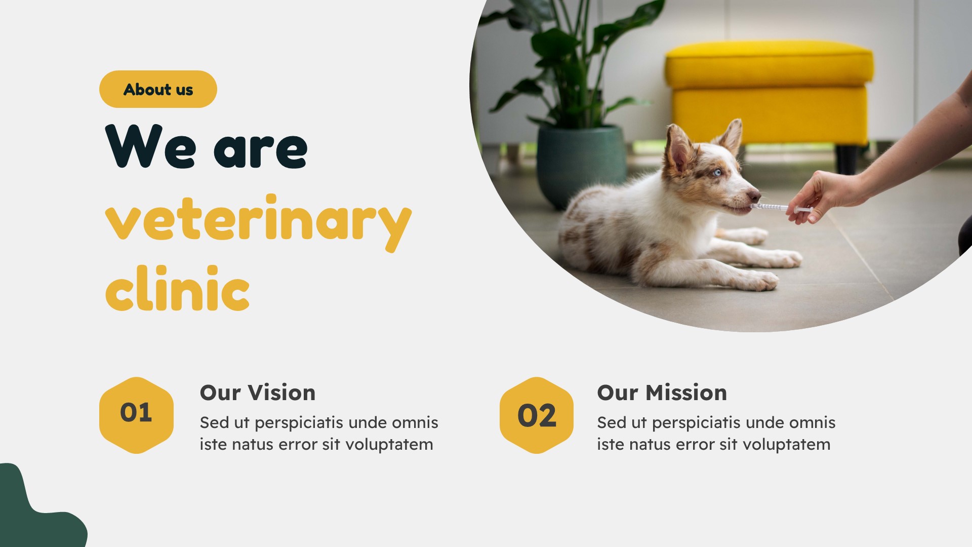 Petslon - Petcare & Pet Shop Powerpoint Template, Presentation Templates