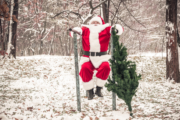 Santa Claus with fir tree doing push ups on parallel bars in the forest ...