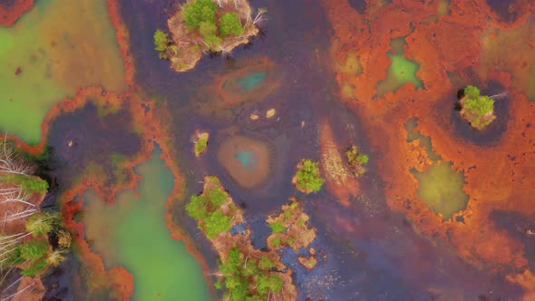 The Toxic Lake is Located Next to Green Trees, Stock Footage | VideoHive