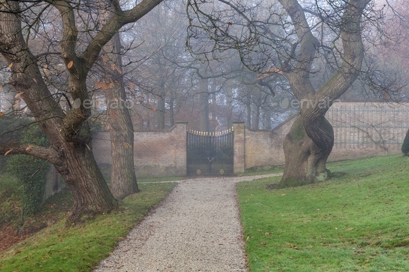 Scenery of a gate leading to a mysterious garden Stock Photo by wirestock