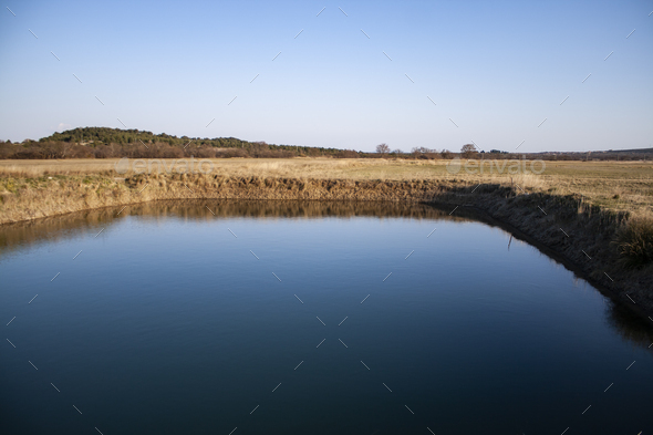 Pond in the field Stock Photo by jozrilic | PhotoDune