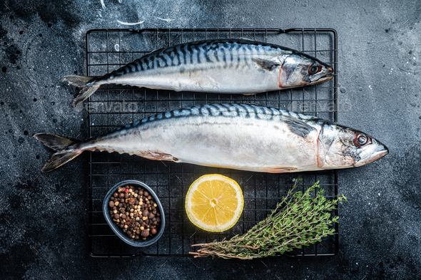 Fresh Raw mackerel scomber fish ready for grilling. Black background ...