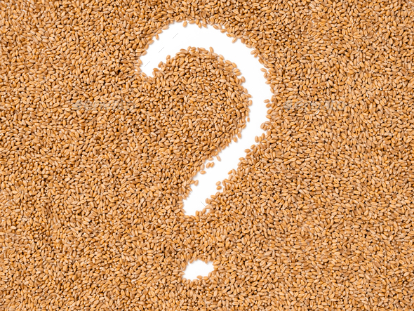 Question mark in wheat grains. Concept of global food scarcity, famine ...