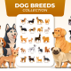 Dog Breeds Collection, Vectors | GraphicRiver