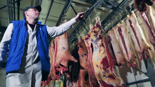 Butcher Is Moving Meat Carcasses with a Hook, Stock Footage | VideoHive