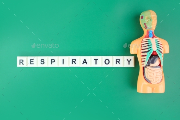 letters of the alphabet with the word respiratory. Stock Photo by fauziEv8