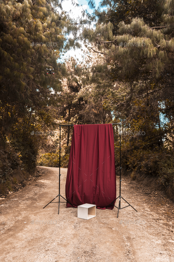 Vertical shot of a place of a photoshoot in the forest Stock Photo by ...