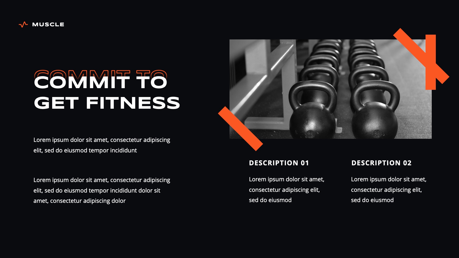 Muscle - Gym and Fitness Presentation PowerPoint, Presentation Templates