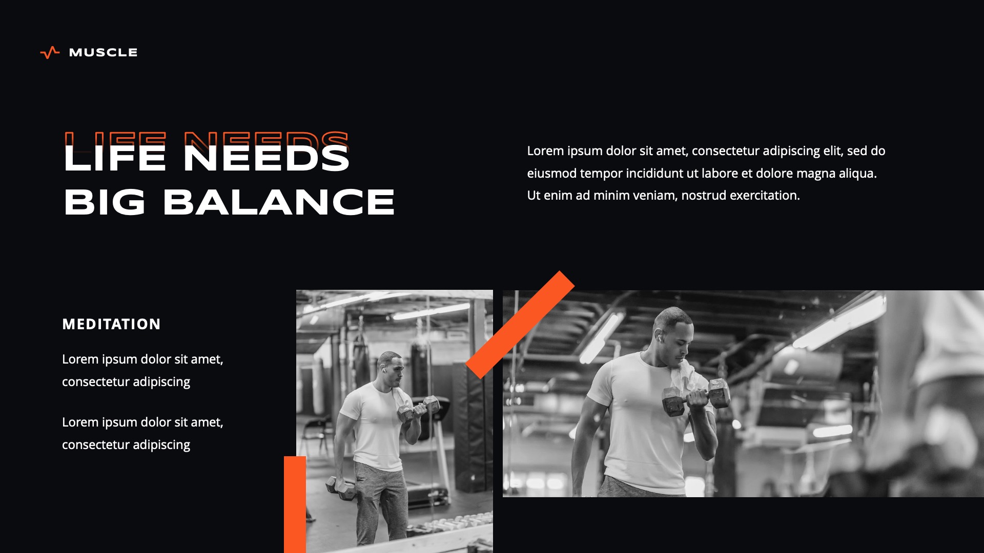 Muscle - Gym and Fitness Presentation PowerPoint, Presentation Templates