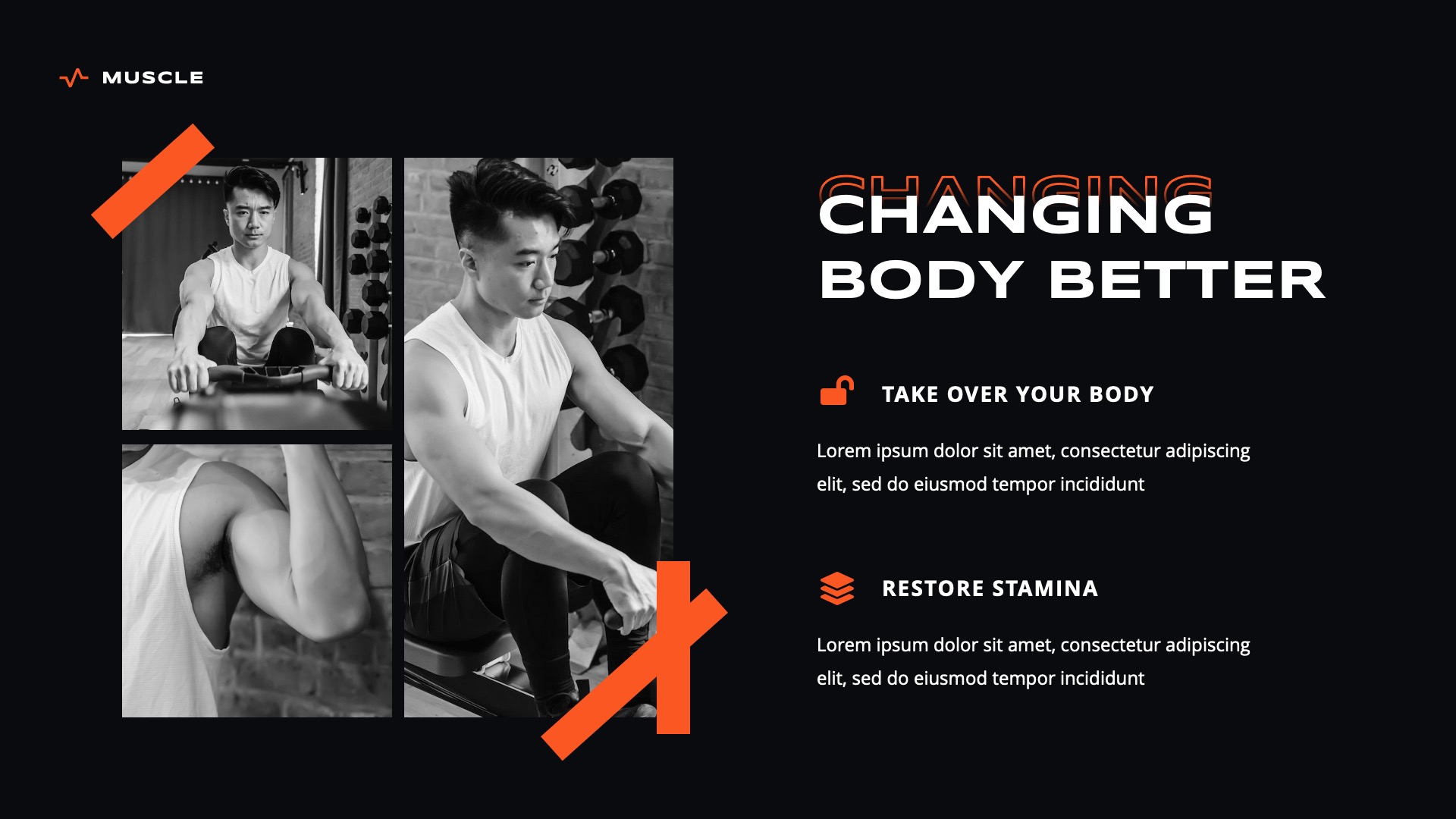 Muscle - Gym and Fitness Presentation PowerPoint, Presentation Templates